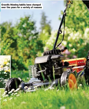 THE END OF LAWN ORDER - PressReader