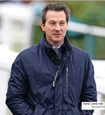 LINGFIELD TODAY - PressReader