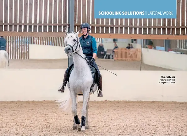 EXERCISE 3 UNLOCKING SUPPLENESS ON THE STIFFER REIN - PressReader