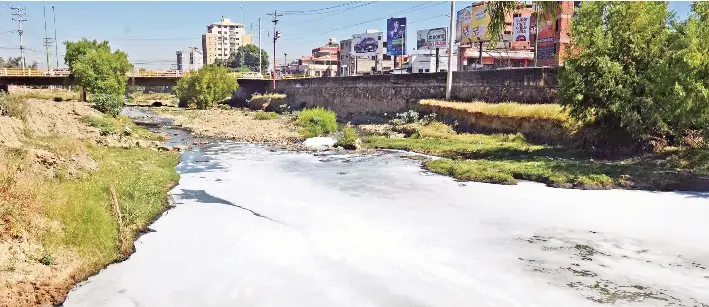 El río Rocha pierde en seis años su capacidad de autorrecup­erarse ...
