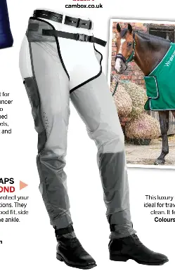 New in the ring - PressReader