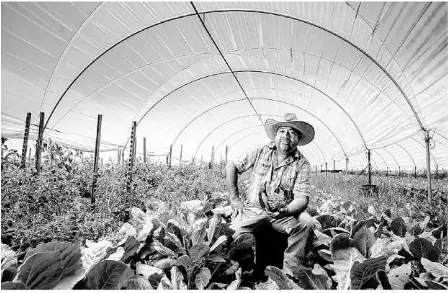 Die Gesichter der Migration zeigen - PressReader