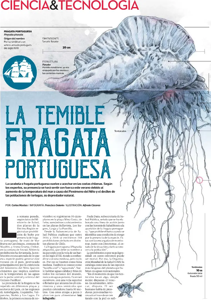 La fragata portuguesa vuelve este verano - PressReader