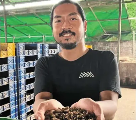 Indonesia’s ‘fly guy’ finds grubby fix - PressReader