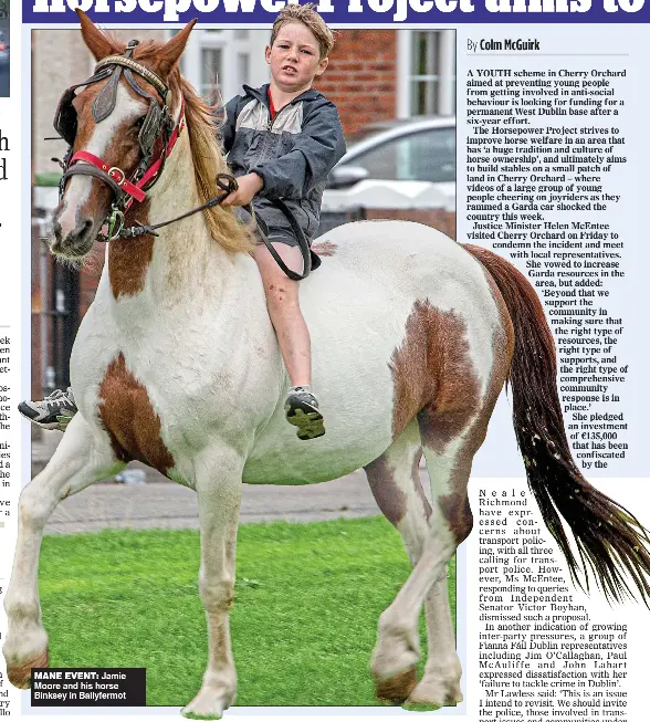 Horsepower Project aims to prevent anti-social behaviour locally - PressReader