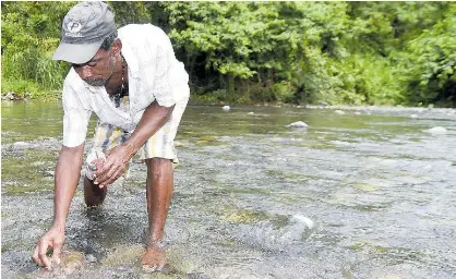 Bussu gets fertility praise - PressReader