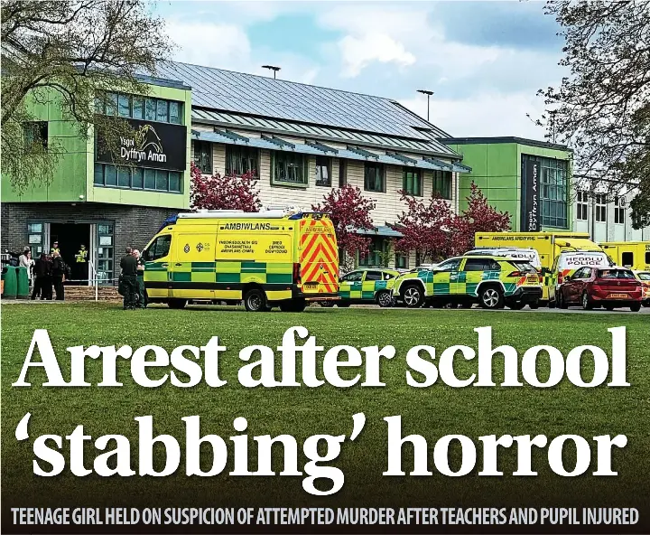 Arrest after school ‘stabbing’ horror - PressReader