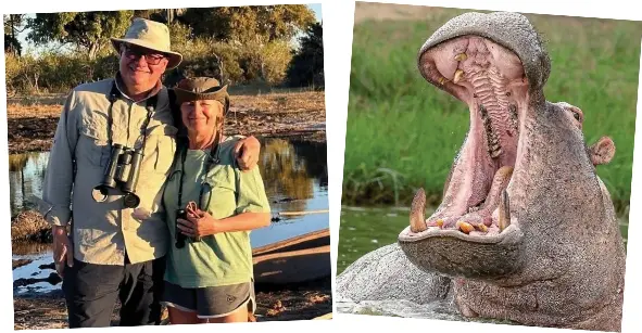 My surgeon told me she’d never met a hippo victim before ...they ...