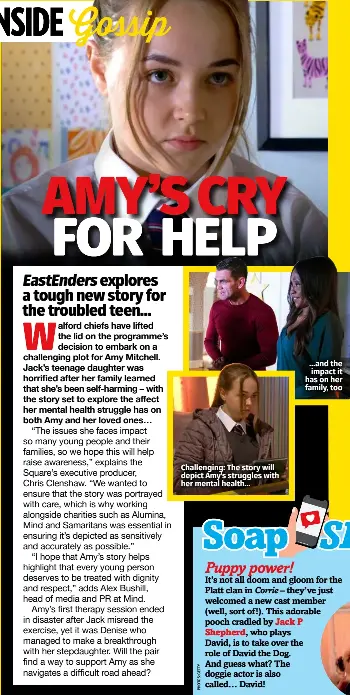 AMY’S CRY FOR HELP - PressReader