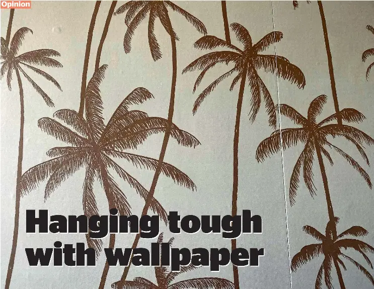 Hanging tough with wallpaper - PressReader