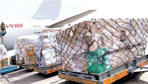 Airlines hinge air cargo resilience on investment­s in automation ...