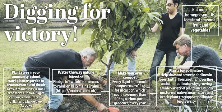 Digging for victory! - PressReader