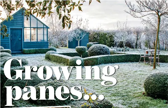 Growing panes... - PressReader