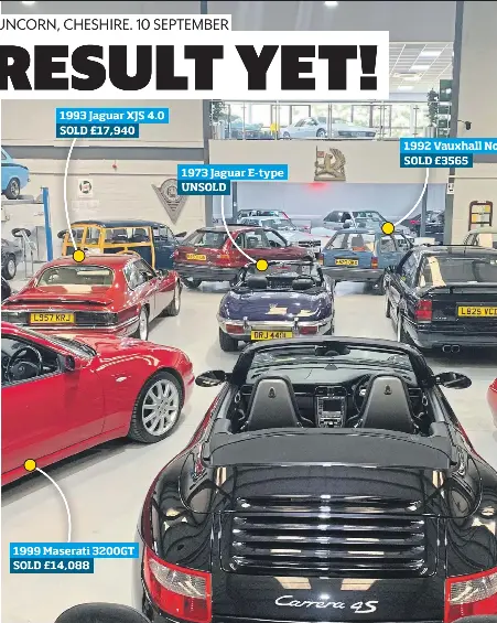 THE BEST RESULT YET! CATS ON THE PROWL - PressReader