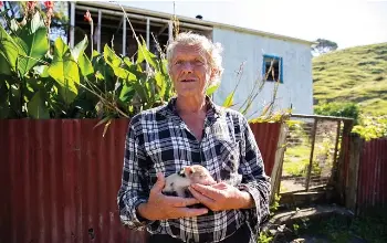 Murder accused a pig aficionado - PressReader