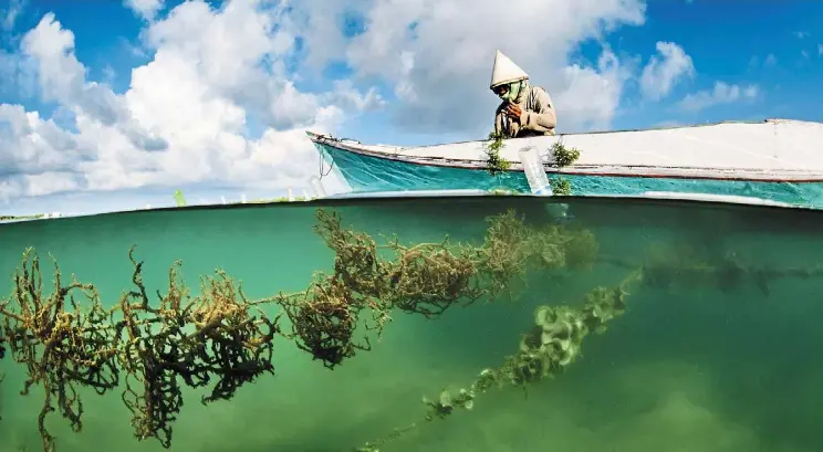 Keeping coastal families afloat - PressReader