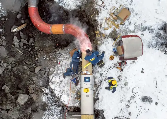 Brumation: winter is coming for reptiles - PressReader