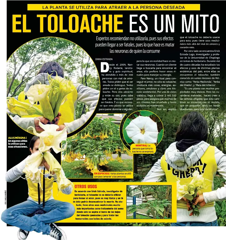 EL TOLOACHE ES UN MITO - PressReader