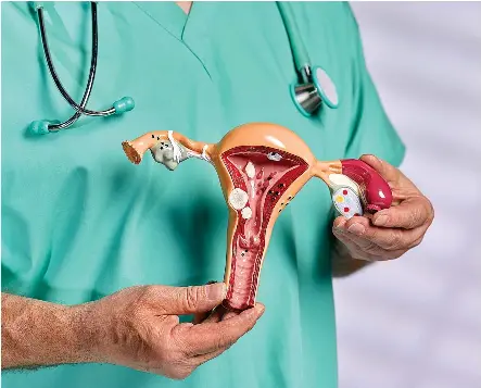 Eight things gynaecolog­ists want every woman to know - PressReader