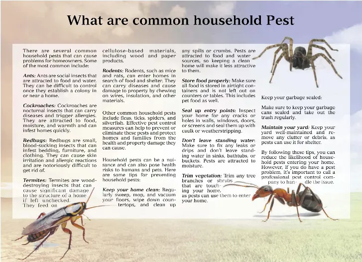 What are common household Pest - PressReader