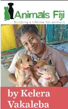 A Day in the Life of a Veterinary Assistant - PressReader