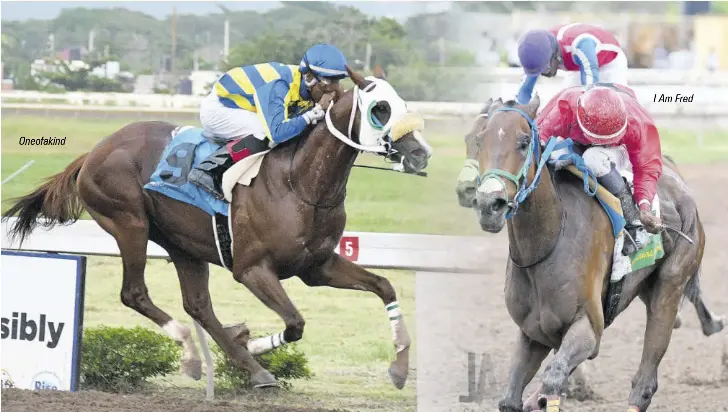 JAMAICA CUP: The Grand Showdown - PressReader