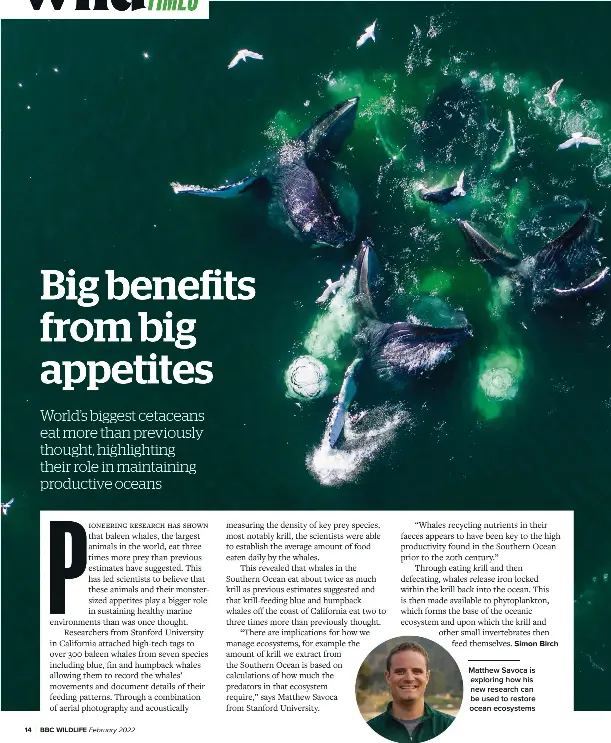 Big benefits from big appetites - PressReader