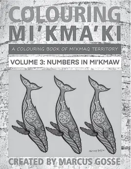 Stephenvil­le Mi’kmaw artist publishes new series of Indigenous ...