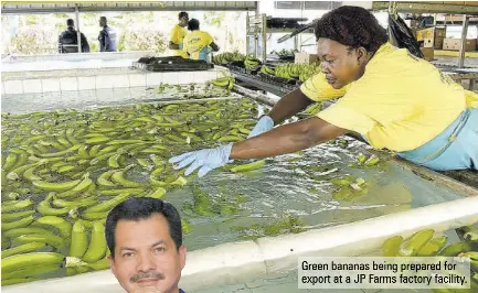 JP Farms increases export volume - PressReader