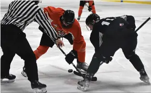 Tigers wrap up camp, open preseason today - PressReader