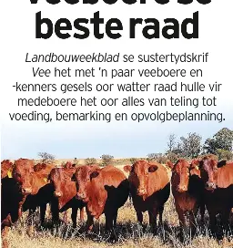 Veeboere se beste raad - PressReader