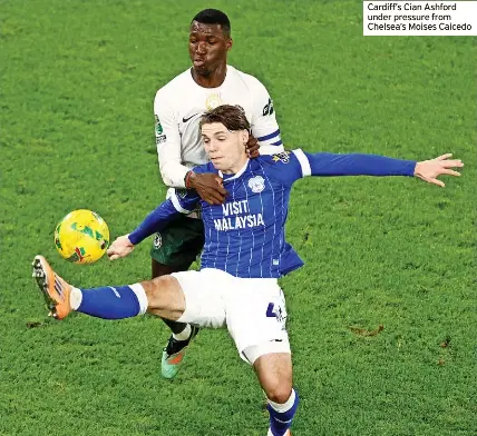 Bluebirds go out but give Chelsea a real fright in quarter-final tie - PressReader