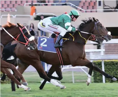 The story is boring, but the racing is heart-stopping - PressReader