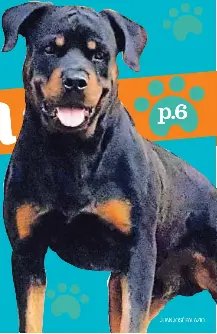 Billy es lo que cuenta - PressReader