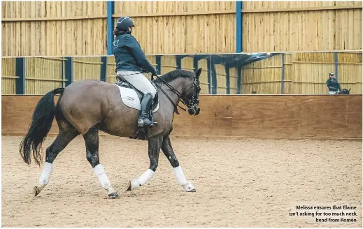 EXERCISE 2 LEG YIELDING ON A CIRCLE IN TROT - PressReader