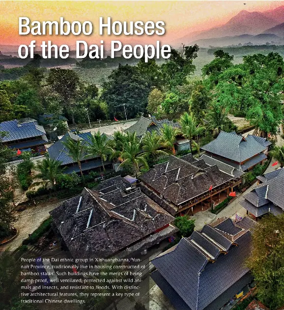 Bamboo Houses of the Dai People - PressReader
