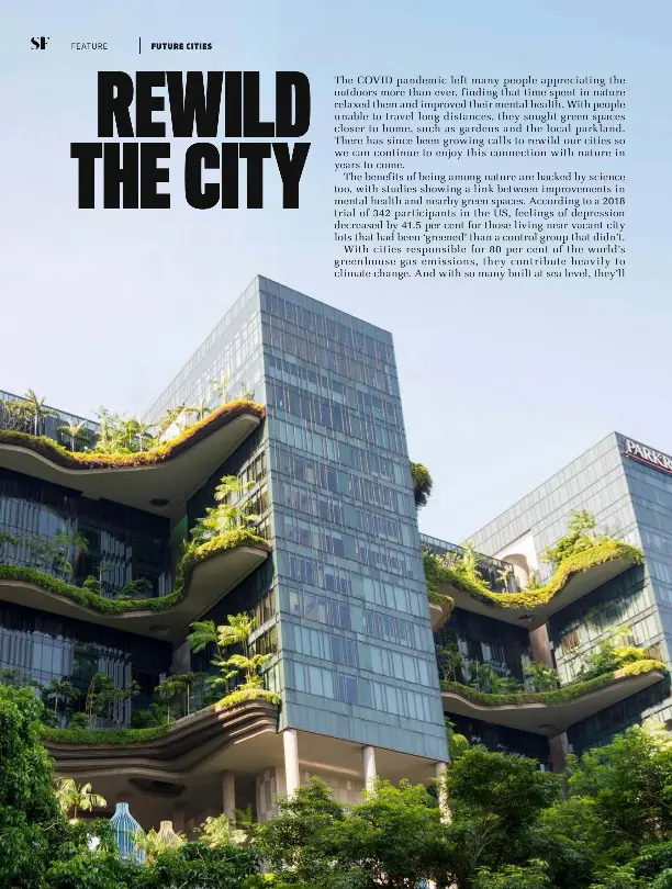 REWILD THE CITY - PressReader