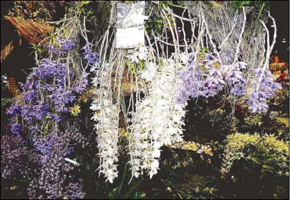 Sanggumay - PressReader