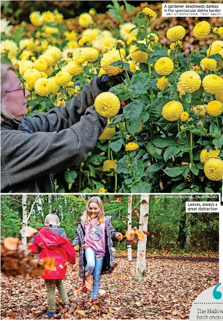 It just wouldn’t be autumn without the delights of Anglesey Abbey - PressReader