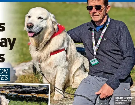 Walk this way... dogs lead the way for visitors - PressReader