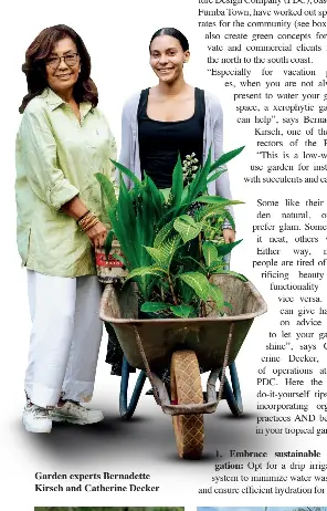 GARDEN GLAM - PressReader