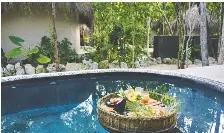 Instagram dream meets soggy reality - PressReader