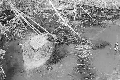 DAMAGE CONTROL - PressReader