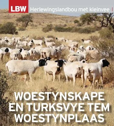 WOESTYNSKA­PE EN TURKSVYE TEM WOESTYNPLA­AS - PressReader