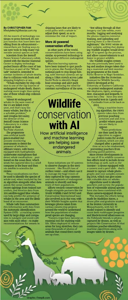 Wildlife conservati­on with AI - PressReader