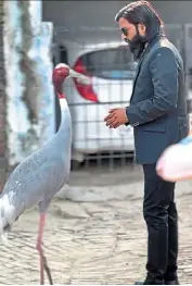 Seeking his feathered friend’s release - PressReader