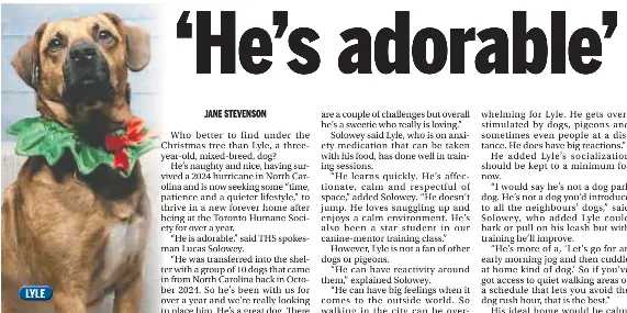 `He's adorable' - PressReader