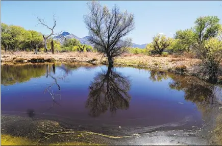 Underlying risk to vital ecosystems - PressReader