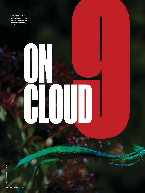 ON CLOUD 9 - PressReader