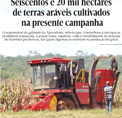 Seiscentos e 20 mil hectares de terras aráveis cultivados na presente campanha - PressReader